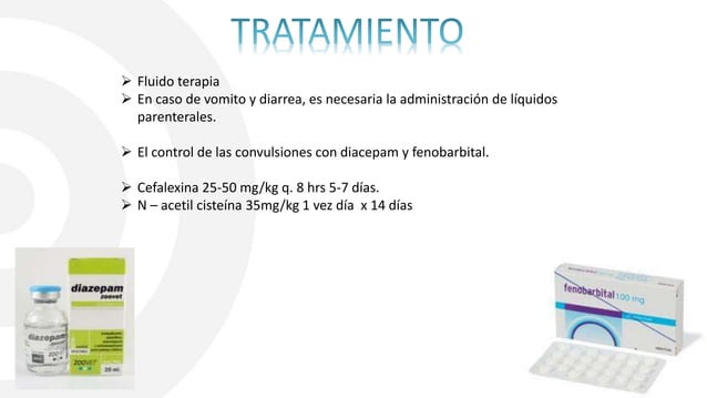 DISTEMPER CANINO | PPT