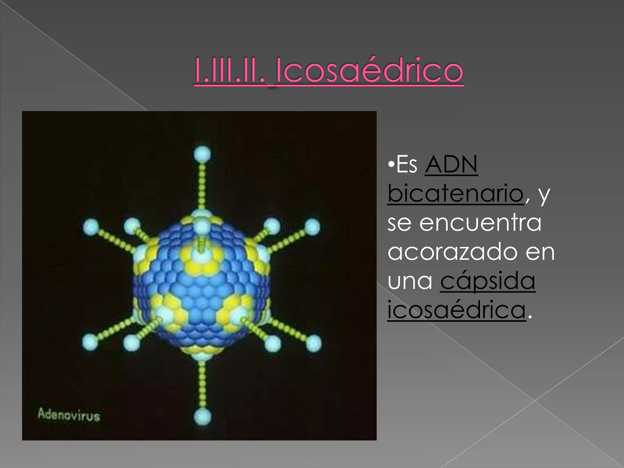 Expo 1 (teoria celular, evolucion celular, virus) | PPTX