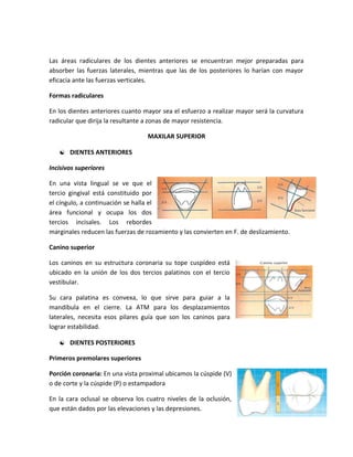 Expo 2-anatomia-dentaria-aplicada | DOC