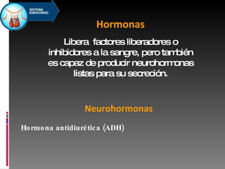 Sistema Endocrino | PPT
