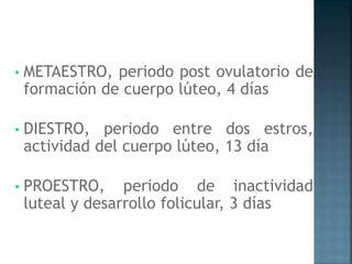 Expo ciclos reproductivos | PPTX
