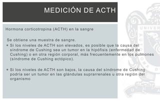 Adenoma hipersecretor de ACTH | PPTX