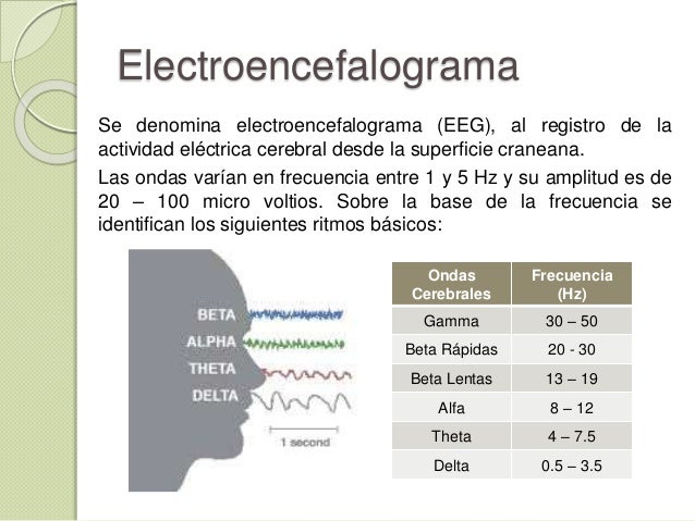 Electroencefalograma neuropsicologia Psicofisiologia