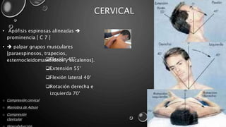 Semiología y Examen OsteoArticular del normal | PPTX