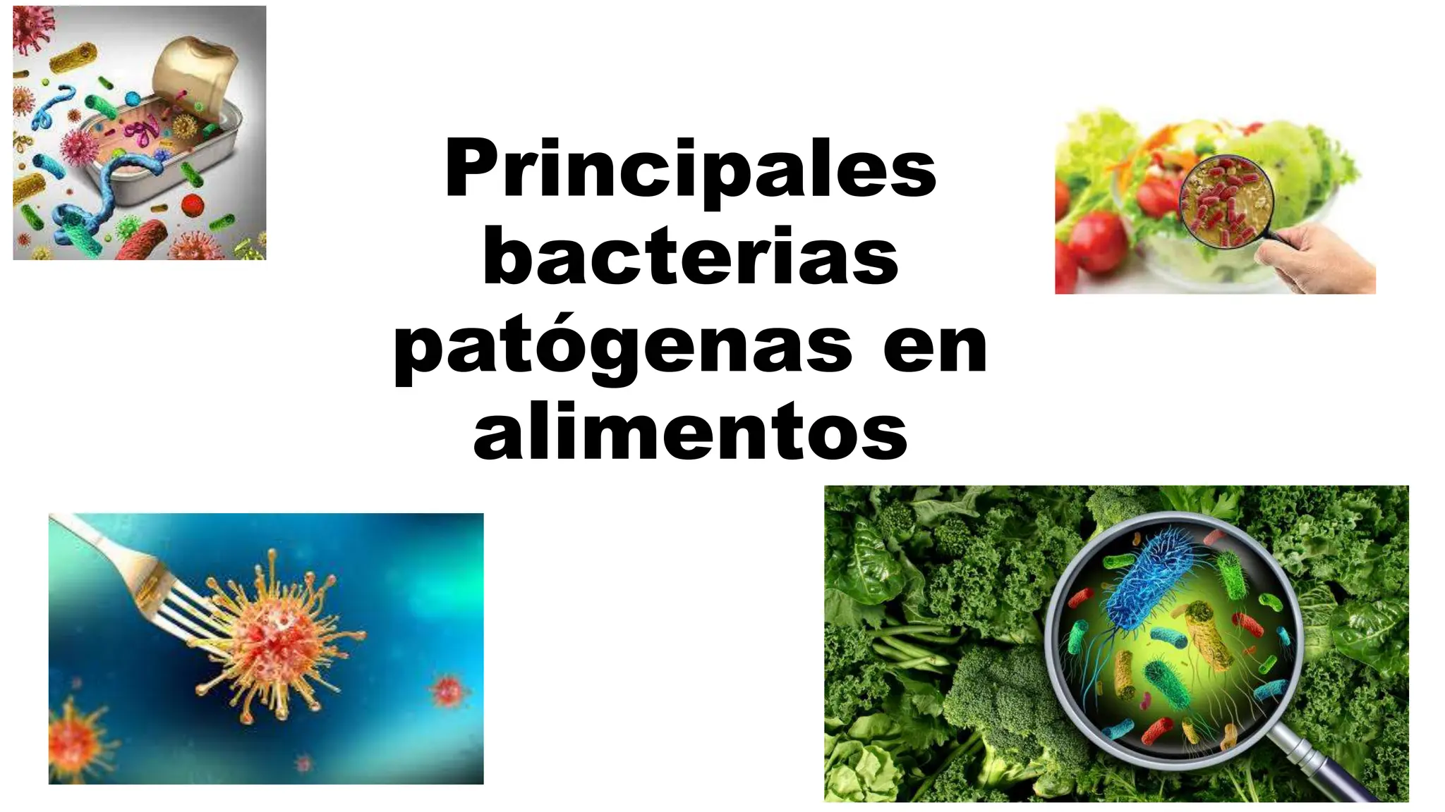 PRINCIPALES BACTERIAS PATOGENAS EN ALIMENTOS | PPTX