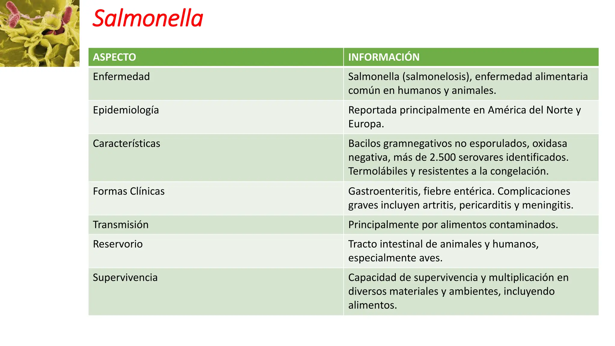 PRINCIPALES BACTERIAS PATOGENAS EN ALIMENTOS | PPTX