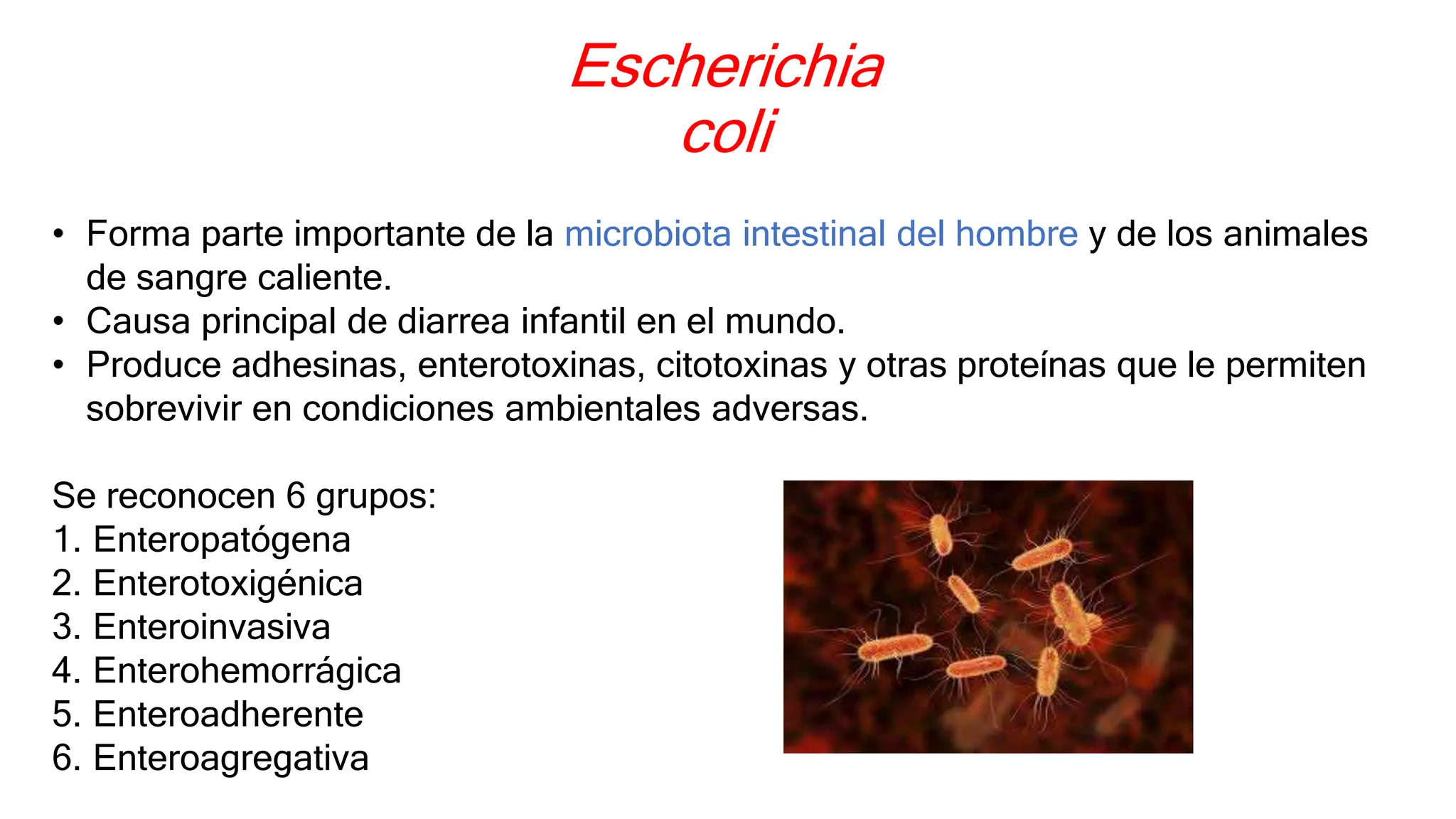 PRINCIPALES BACTERIAS PATOGENAS EN ALIMENTOS | PPTX