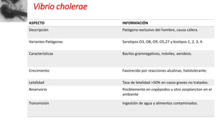 PRINCIPALES BACTERIAS PATOGENAS EN ALIMENTOS | PPTX