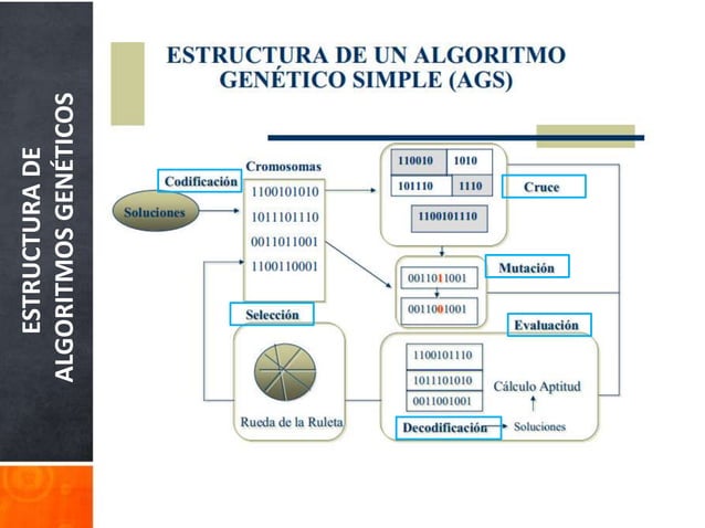 Algoritmo genetico | PPT | Descarga Gratuita