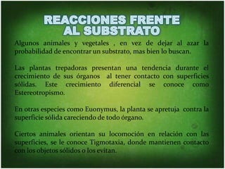 Expo 1 el substrato | PPTX