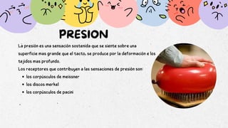 Receptores sensitivos (anatomia 2 "Sistema Nervioso") | PDF