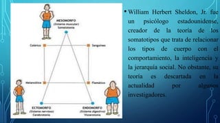 Teorías de los psicólogos William Sheldon y Ernst Kretschmer | PPTX