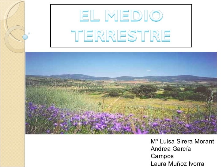 Medio terrestre - Imagui