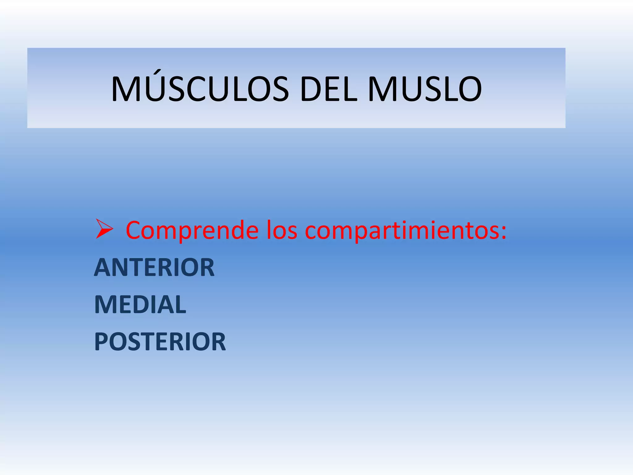 EQUIPO 8 tema 4 músculos del muslo | PPTX