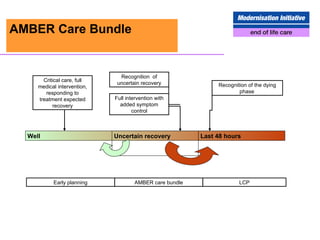 Acute hospitals end of life care best practice | PPT