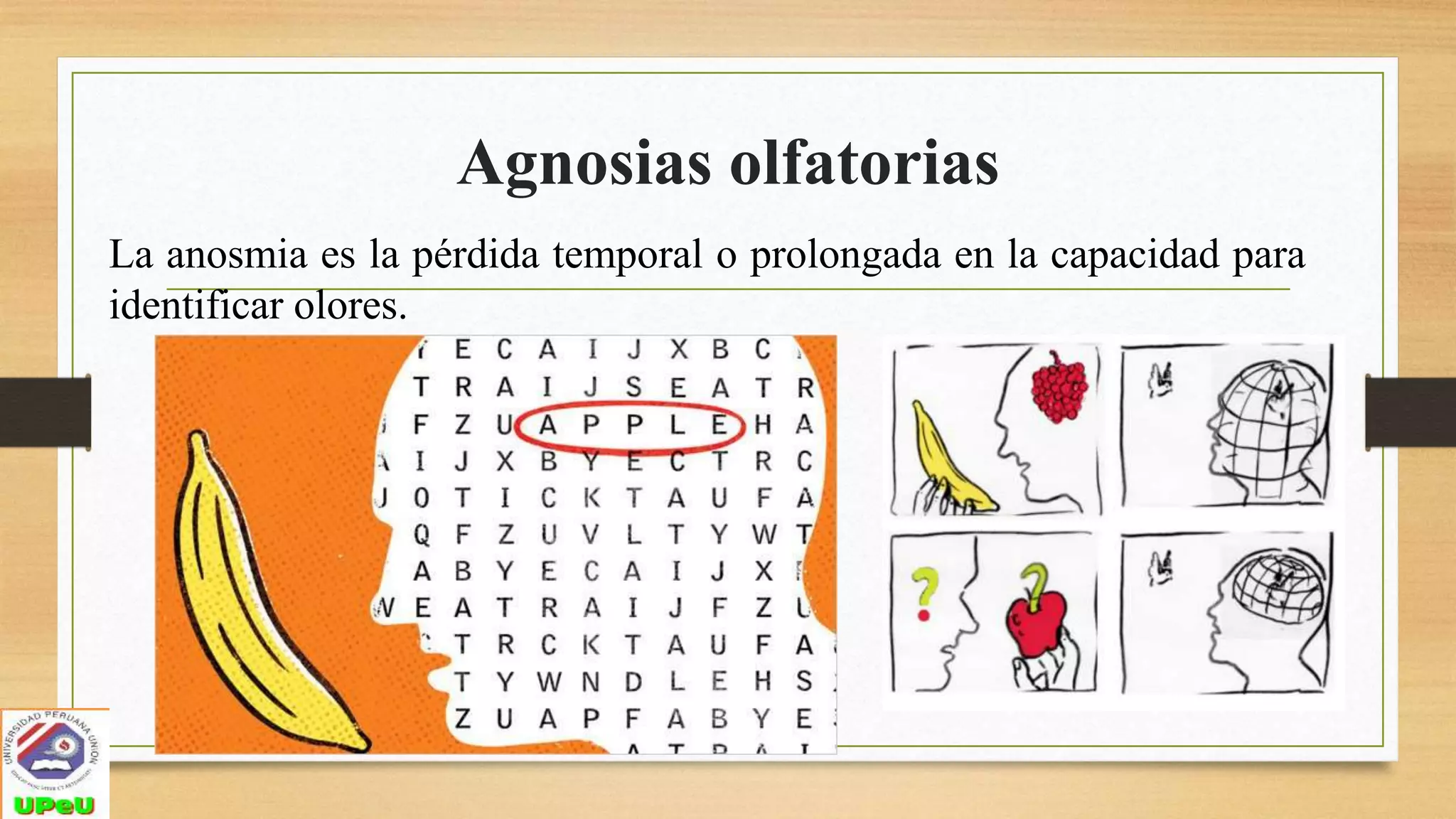 Agnosia | PPT