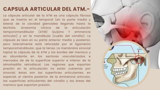 EXPOSICION ANATOMÍA UNIVERSIDAD DE HUANUCO | PDF