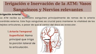 EXPOSICION ANATOMÍA UNIVERSIDAD DE HUANUCO | PDF
