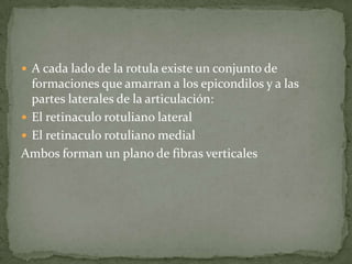 Articulacion Rodilla | PPTX
