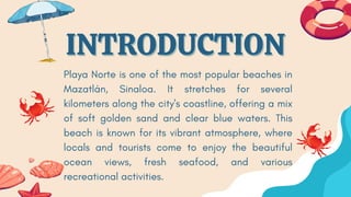 Playa Norte Mazatlan Sinaloa and activities | PPT