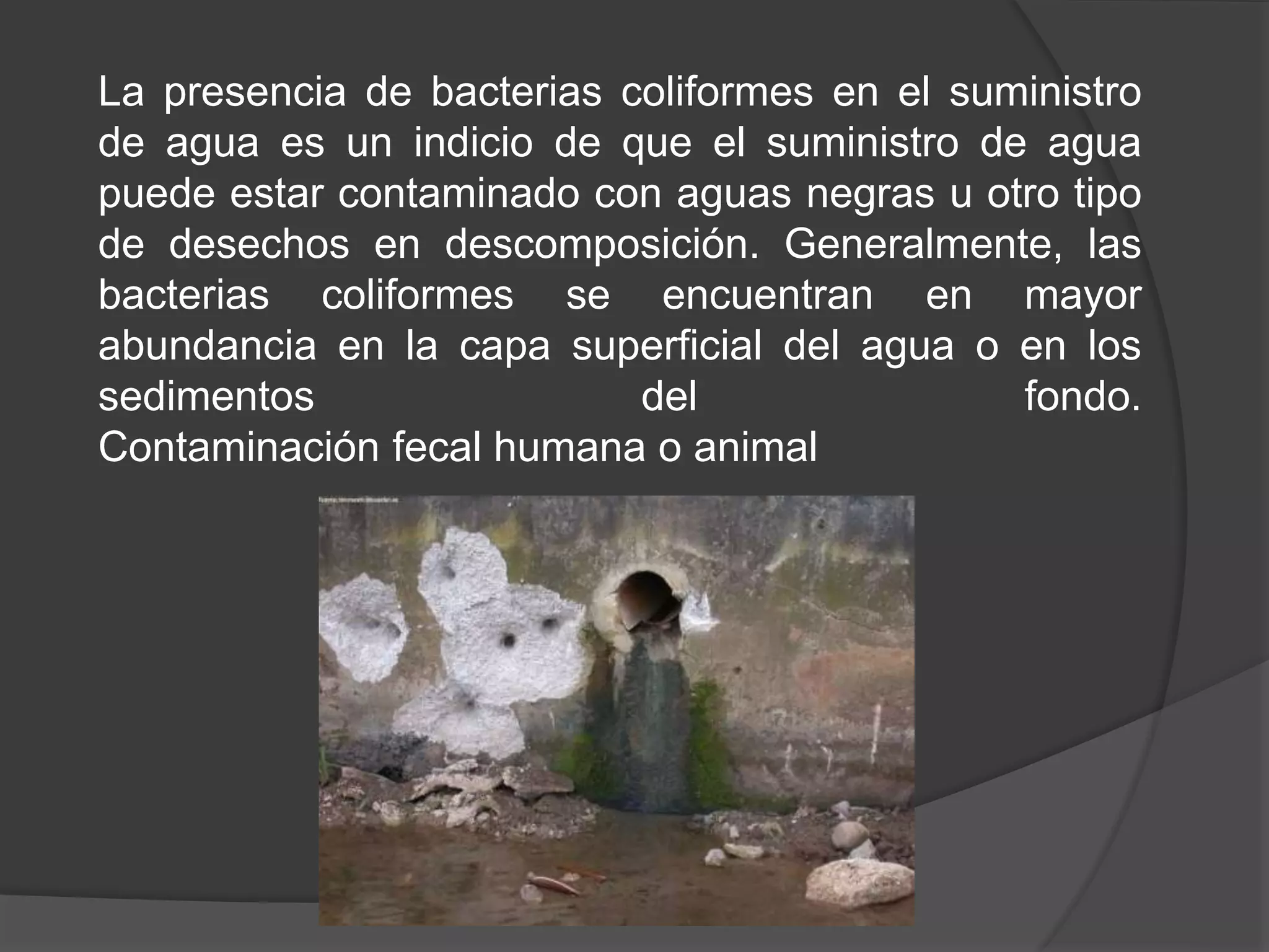 Coliformes fecales | PPT