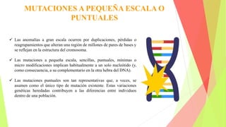 Mutacion | PPTX