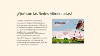 ExpoCISION DE BIOLOGIA, INTRODUCCION A LAS CADENAS ALIMENTICIAS | PPTX
