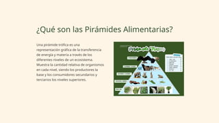ExpoCISION DE BIOLOGIA, INTRODUCCION A LAS CADENAS ALIMENTICIAS | PPTX