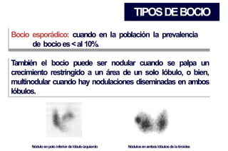 EXPO BOCIO 2.0.pptx