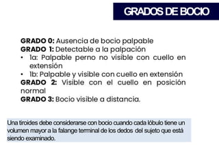 EXPO BOCIO 2.0.pptx