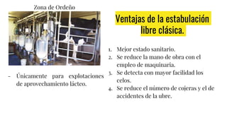 Método de Estabulacion libre clásica y Estabulaciòn libre con cubículos ...