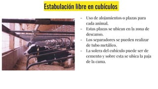 Método de Estabulacion libre clásica y Estabulaciòn libre con cubículos ...