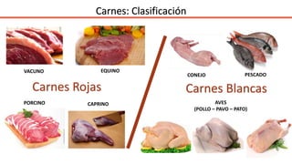Expo carnes y embutidos | PPTX