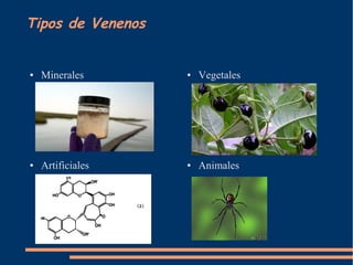 Expo cc de los venenos | ODP