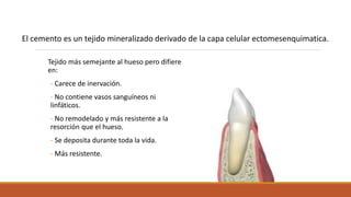 CEMENTO RADICULAR | PPTX