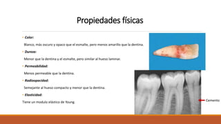 CEMENTO RADICULAR | PPTX