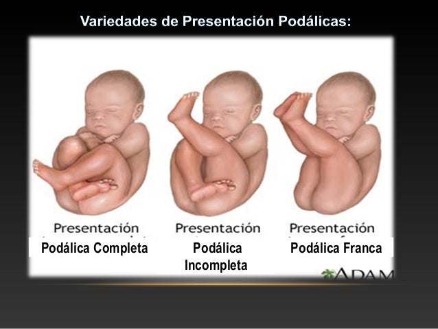 Historia Clinica obstetrica