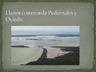 Exposicion de sociales relieve del territorio Dominicano | PPT