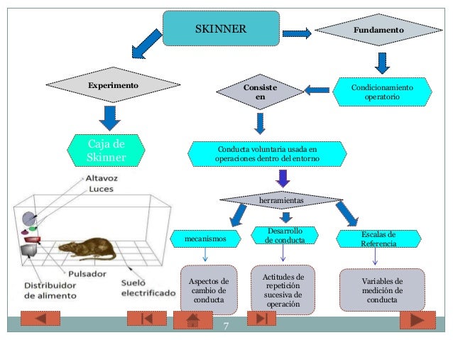 TEORIAS DE APRENDIZAJE