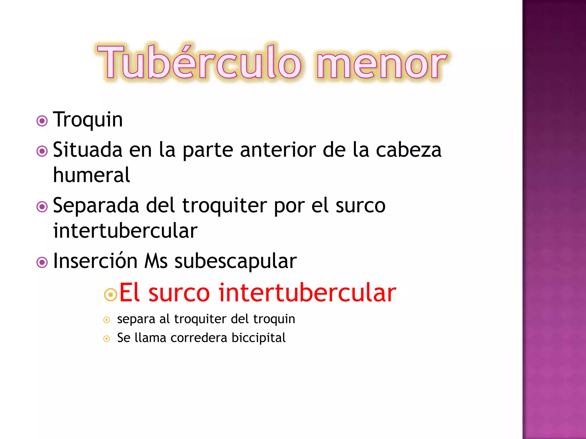 Expocion del humero | PPTX