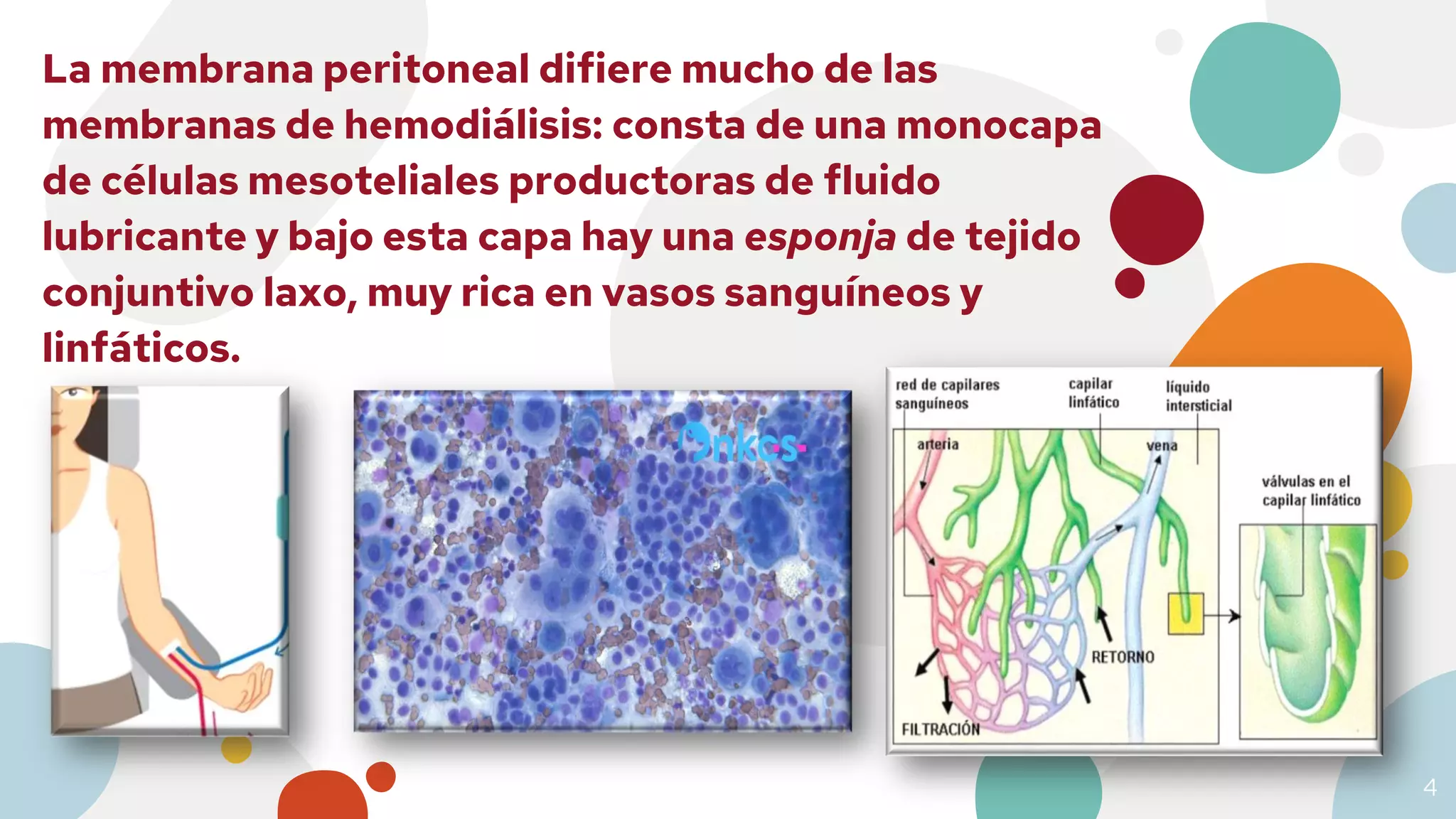 Análisis de Líquido Peritoneal | PDF