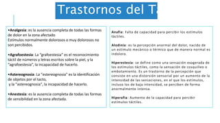 Expocision del tacto | PPTX