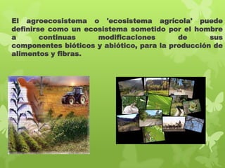 AGROECOSISTEMAS FORESTALES | PPTX