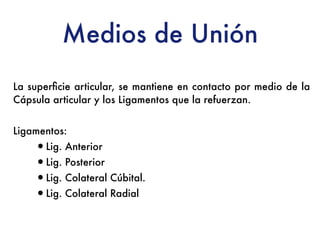 Articulación de Codo | PDF