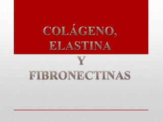 Colágeno, elastina y fibronectinas | PPTX