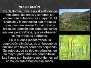 BIOMA CHAPARRAL | PPT