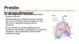 mecanica de ventilacion, estrutctura, distensibilidad pulmonar | PPTX