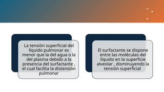 mecanica de ventilacion, estrutctura, distensibilidad pulmonar | PPTX