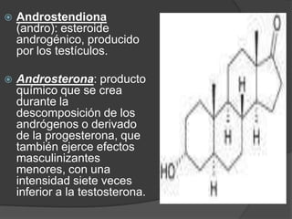 Expo de histologia de aparato reproductor masculino | PPTX