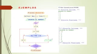 Diagrama de flujo y algoritmo de programacion | PPTX
